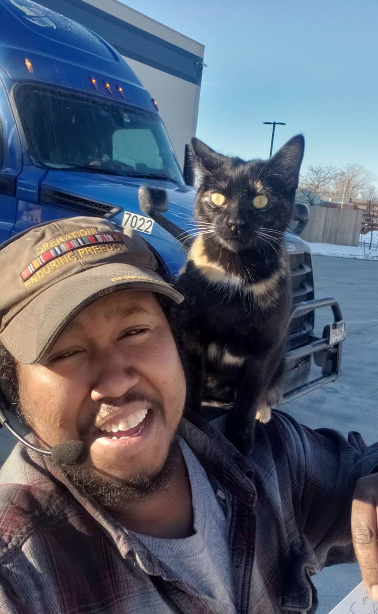 Trucker cat - Brite Logistics, Chicago Trucking Company